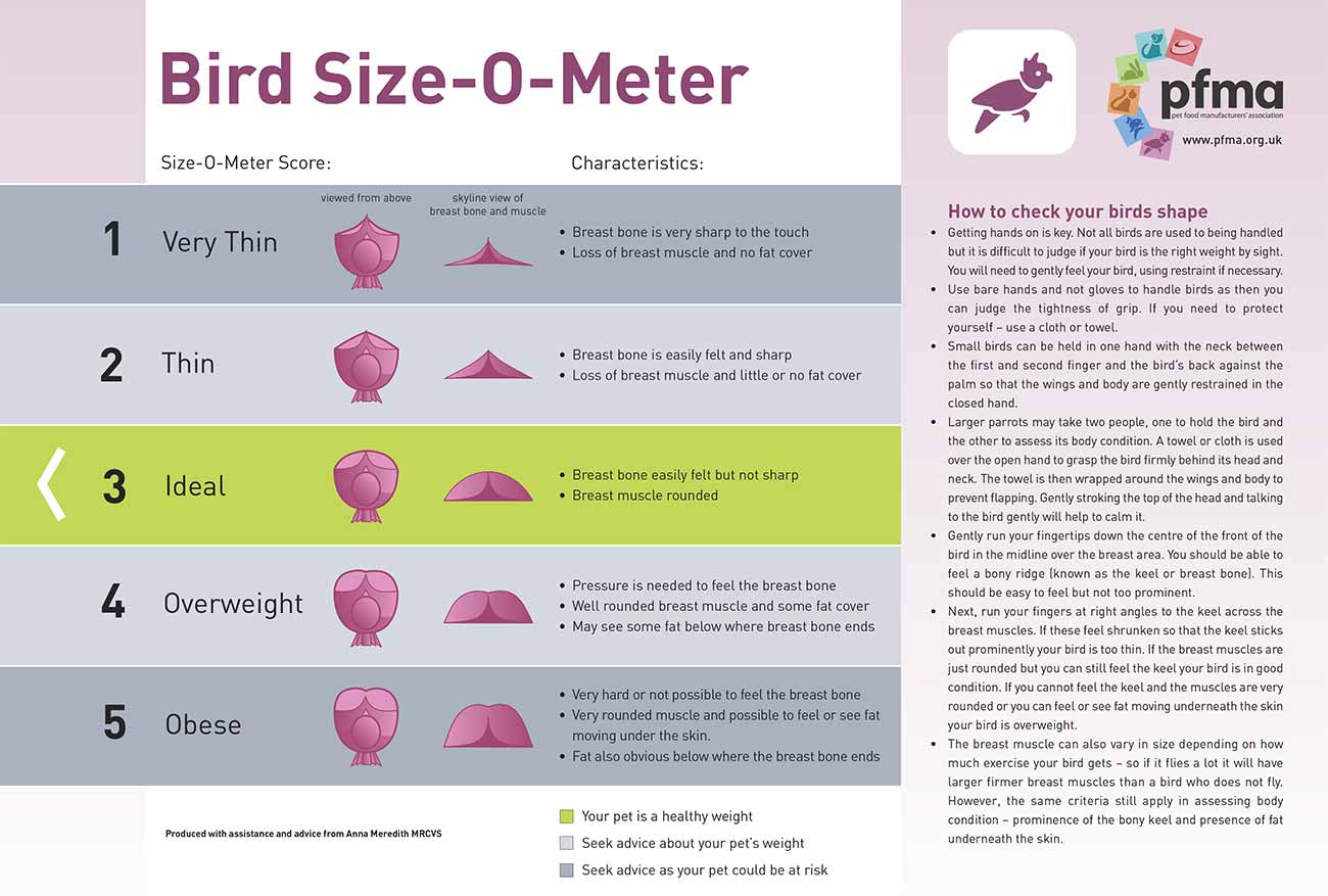 Marriage's - Quality Pet Foods and Animal Feeds