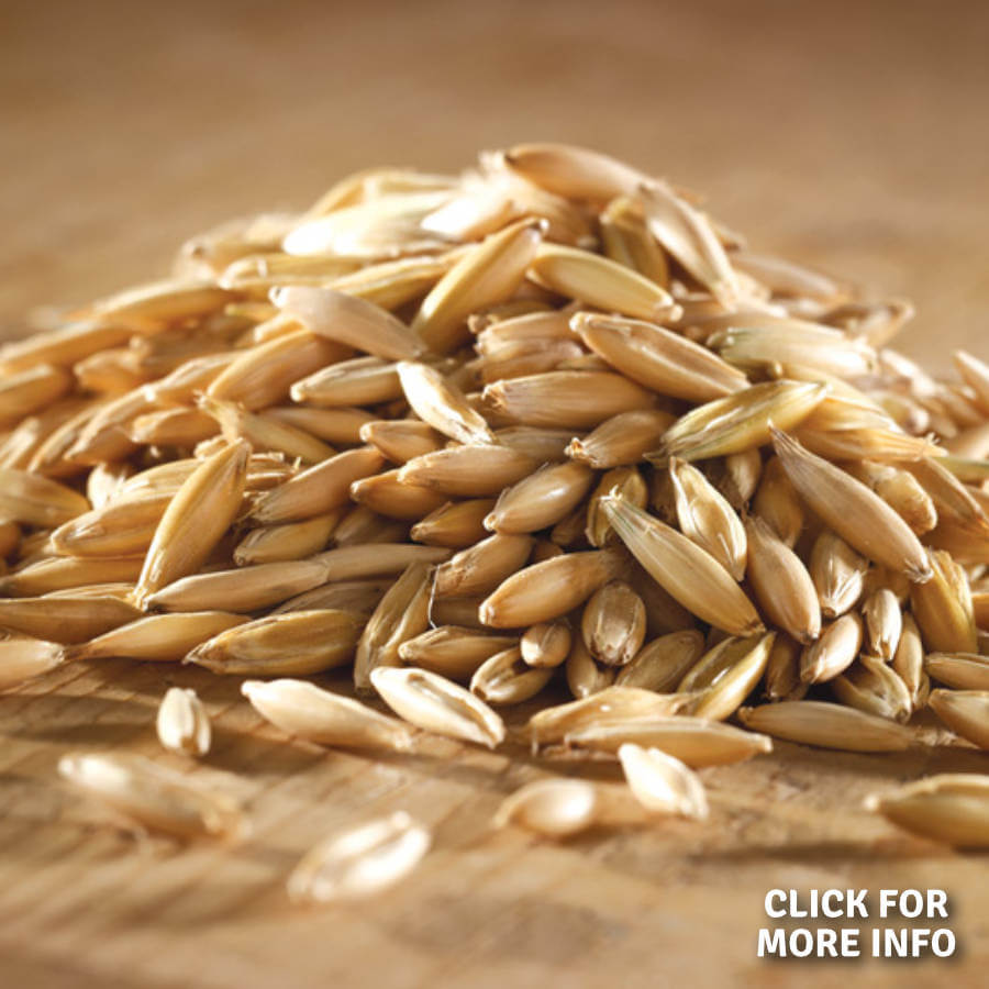 Straight Animal Feeds - Marriage's - Quality Pet Foods and Animal Feeds